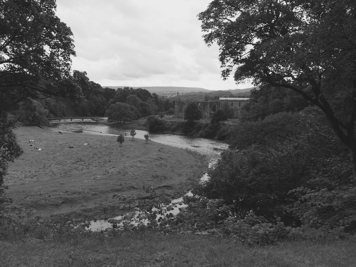 ‘Cathy’s Lament’: poetry inspired by Bolton Abbey – Victoria Delderfield